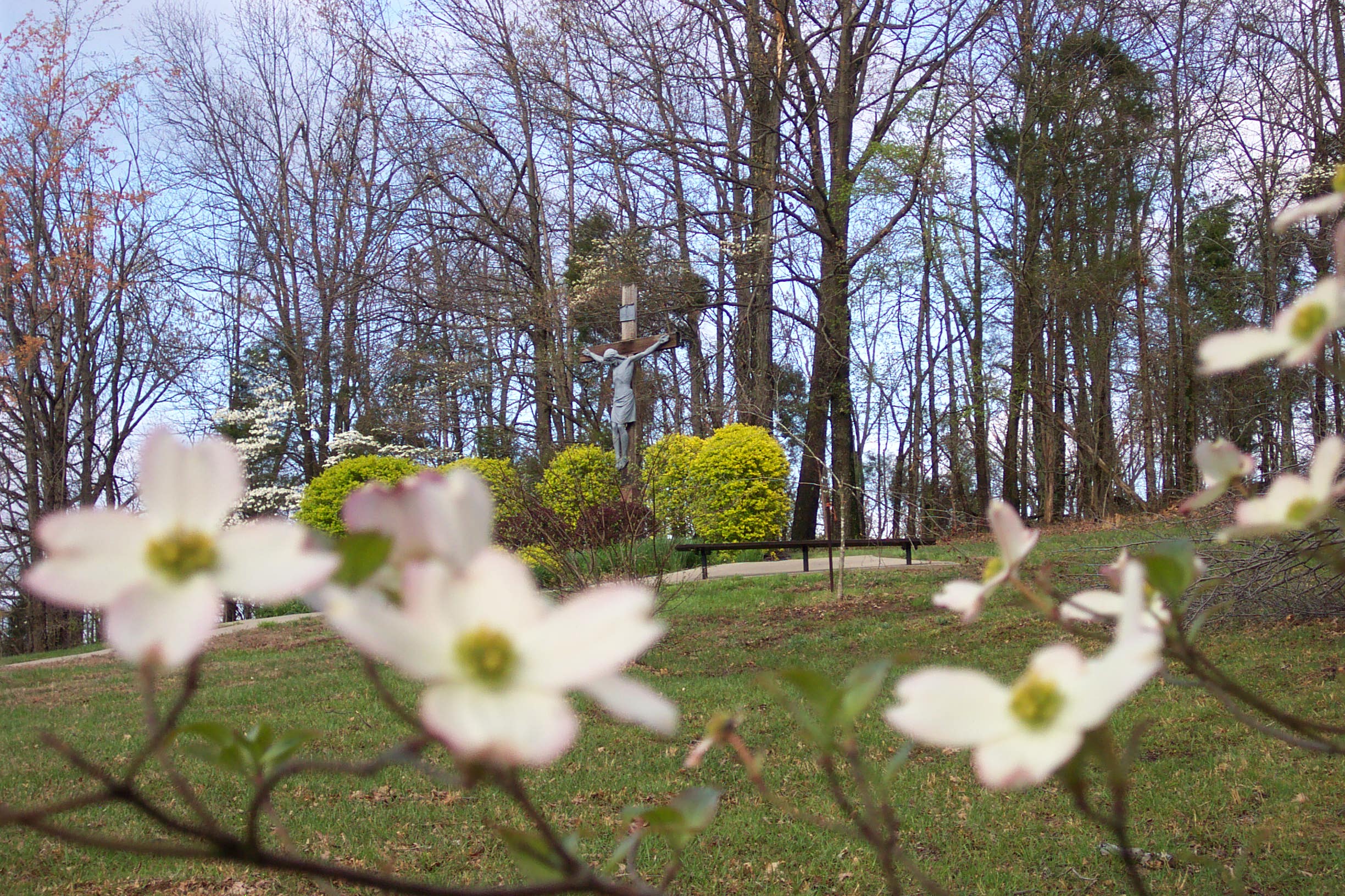 Living the Fast | FEED